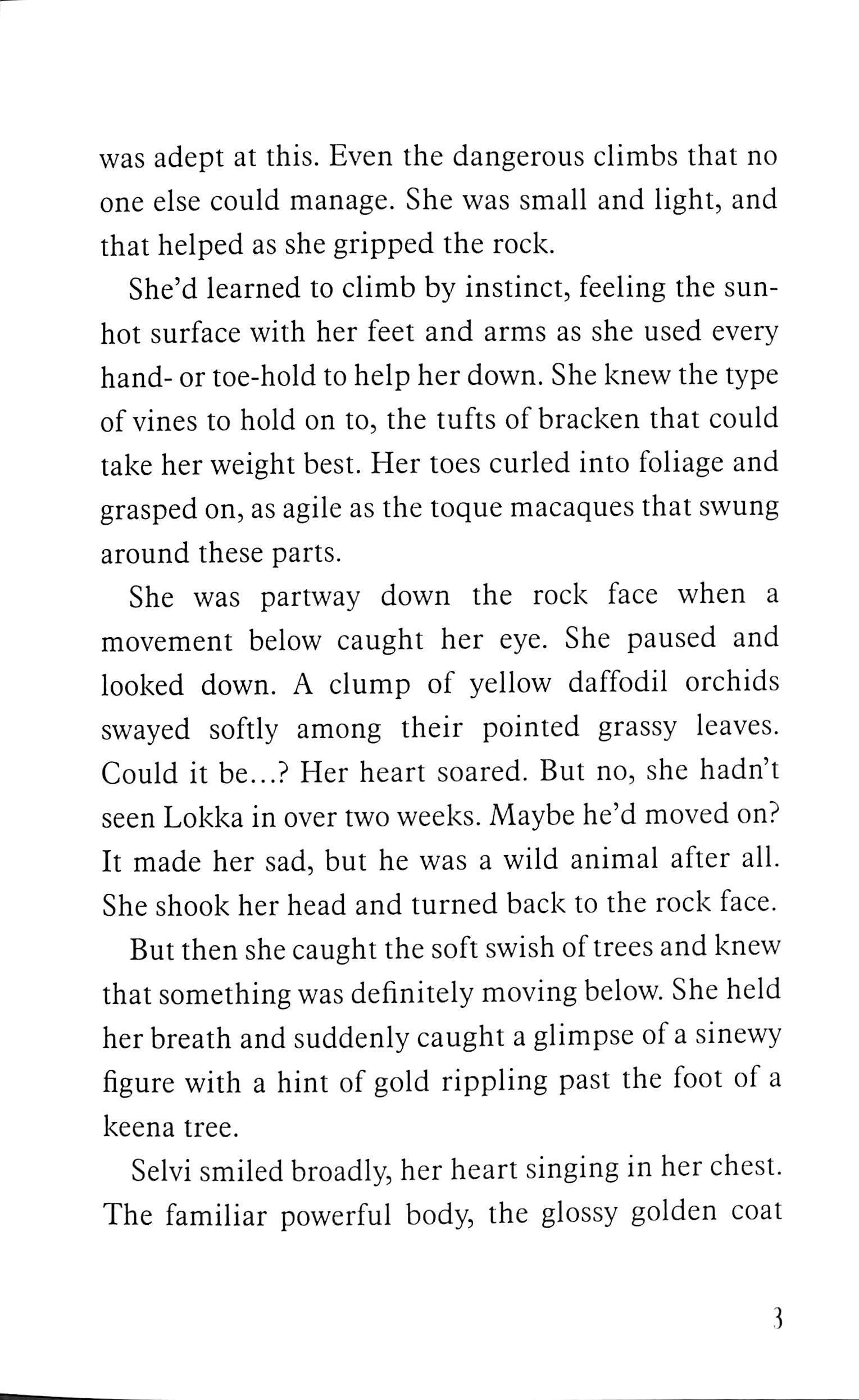 The Girl Who Lost a Leopard by FAROOK, NIZRANA (9781839942266) | Browns ...