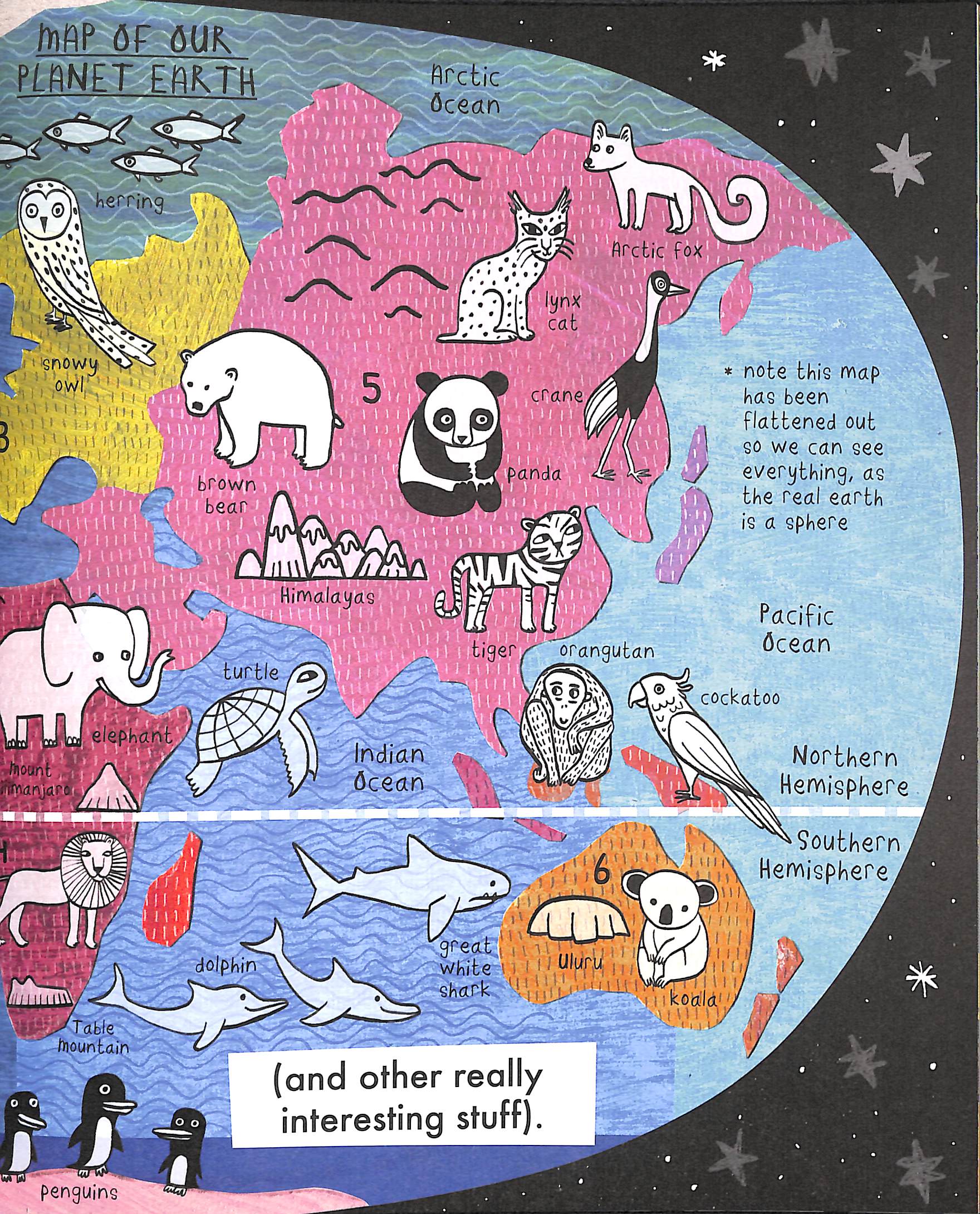 Reception/Primary 1: Martha Maps It Out