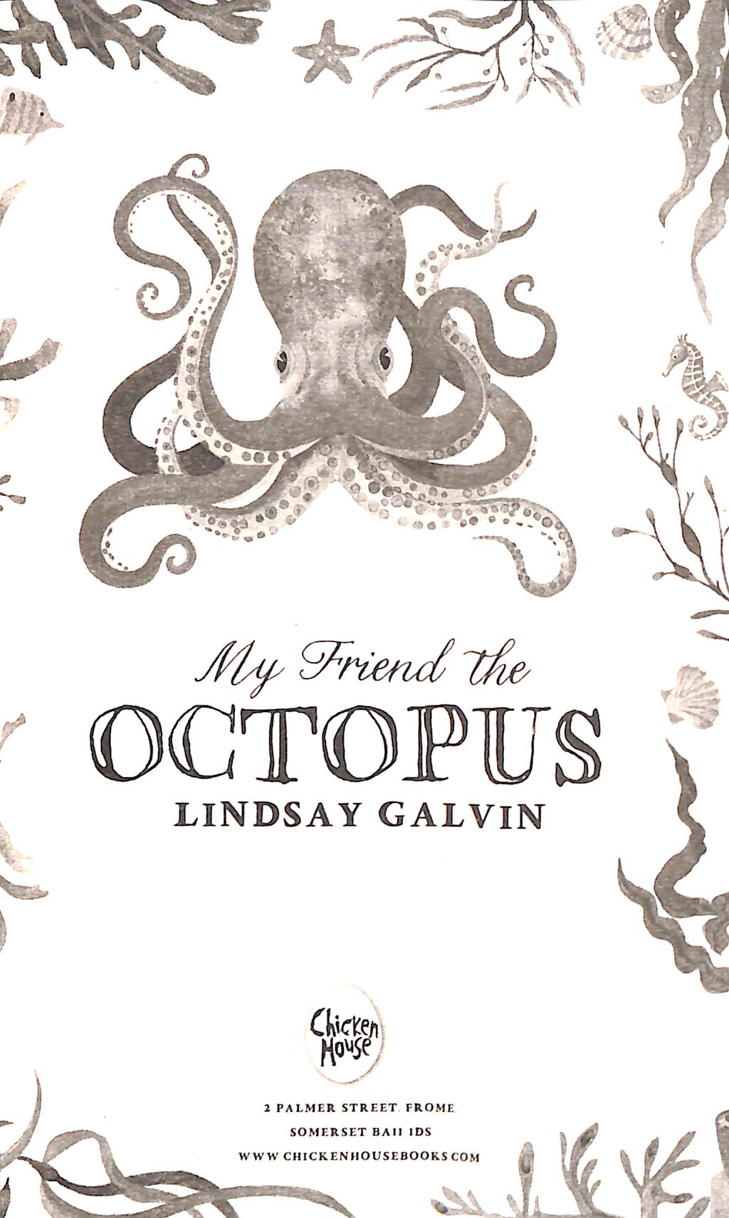 My Friend the Octopus by Galvin, Lindsay (9781913696405) | Browns Books