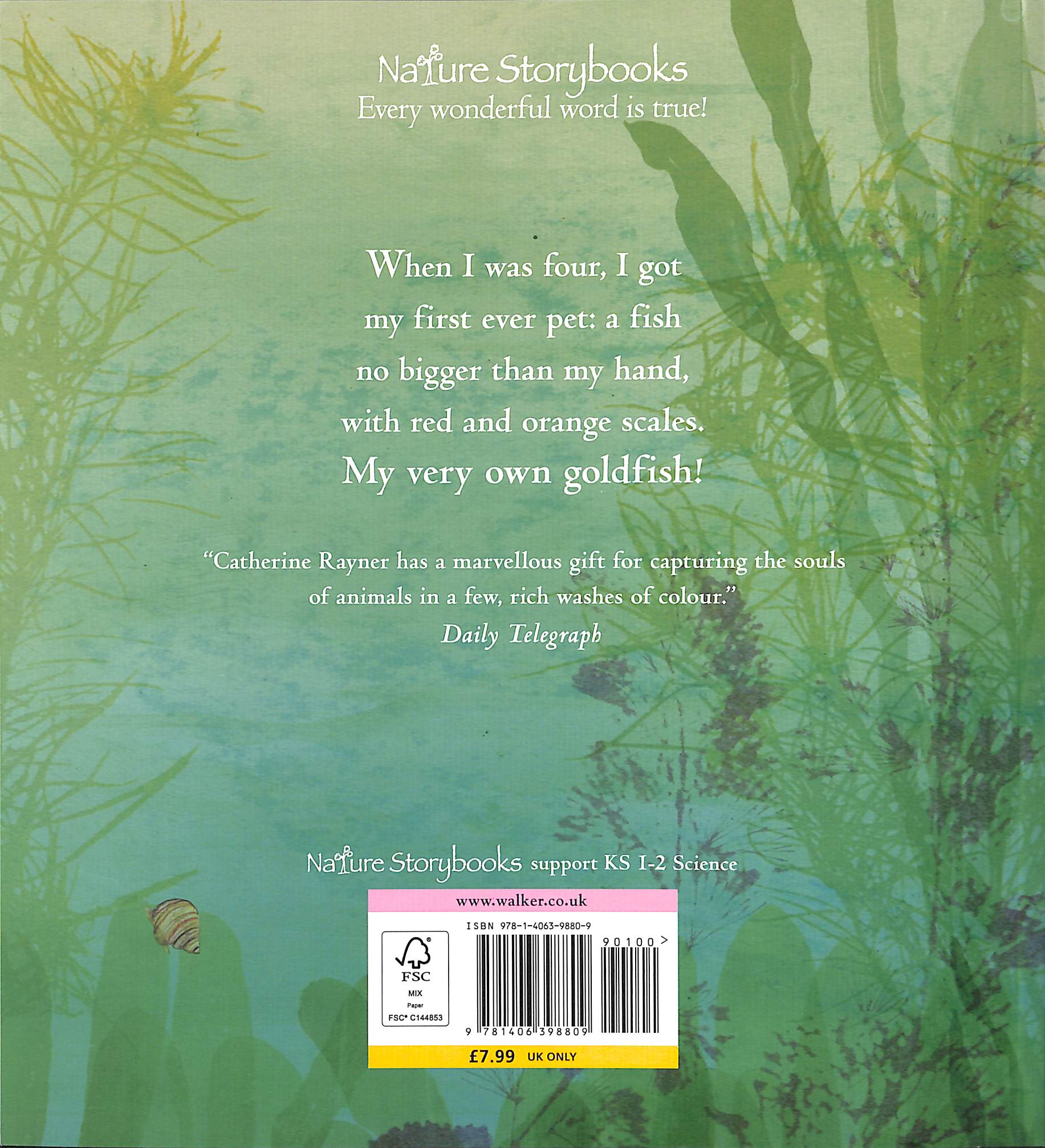 My Pet Goldfish by Rayner, Catherine (9781406398809) | Browns Books