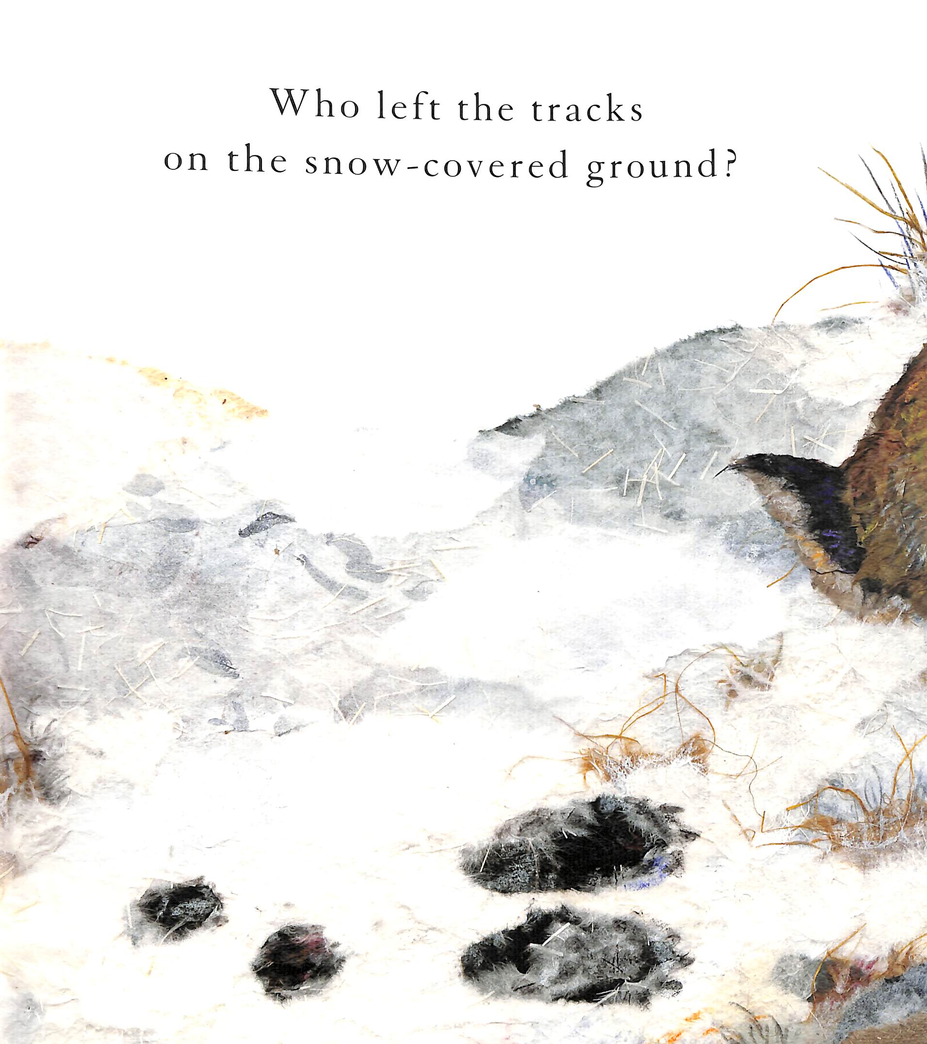 Whose Tracks in the Snow?