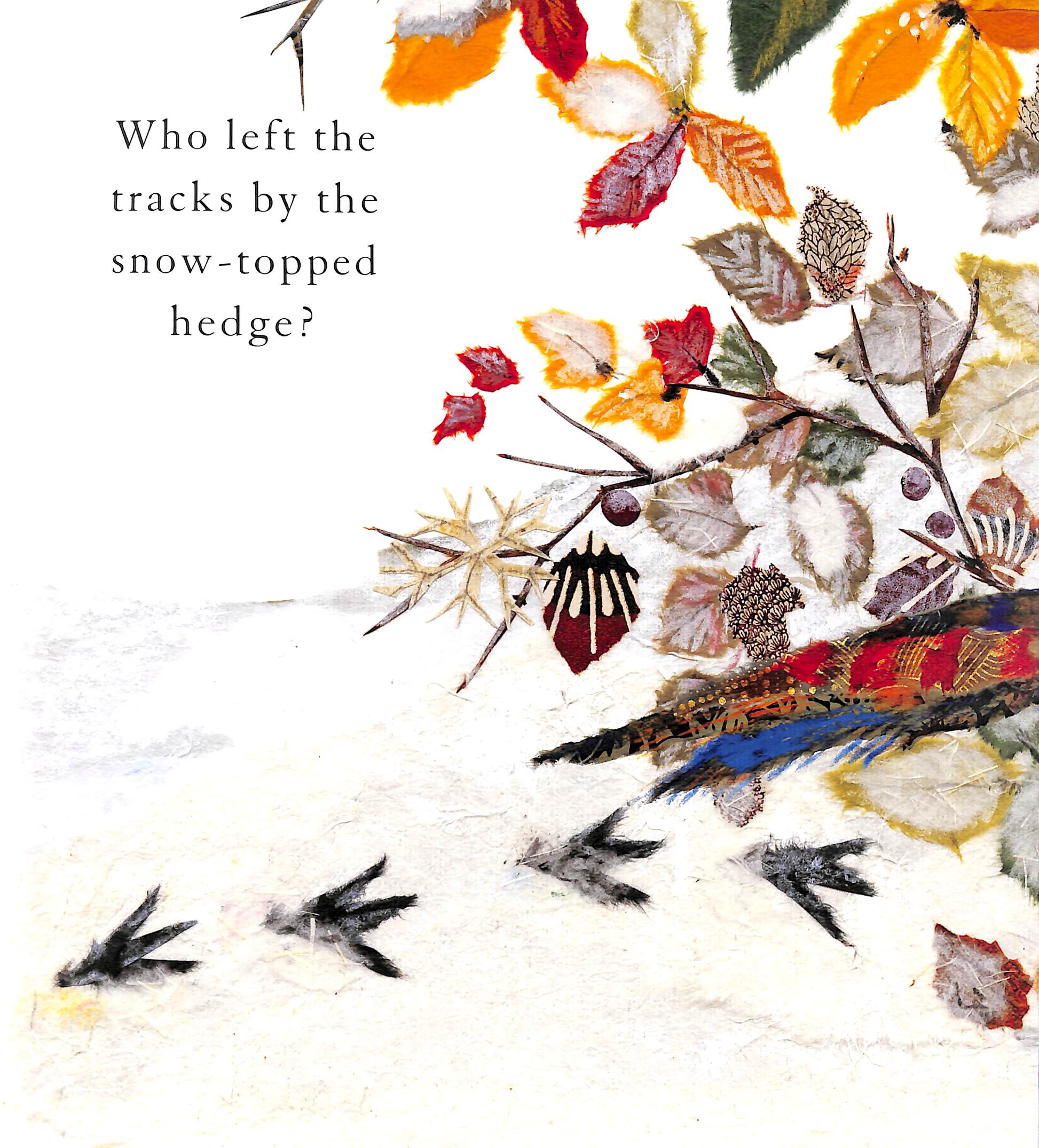 Whose Tracks in the Snow?