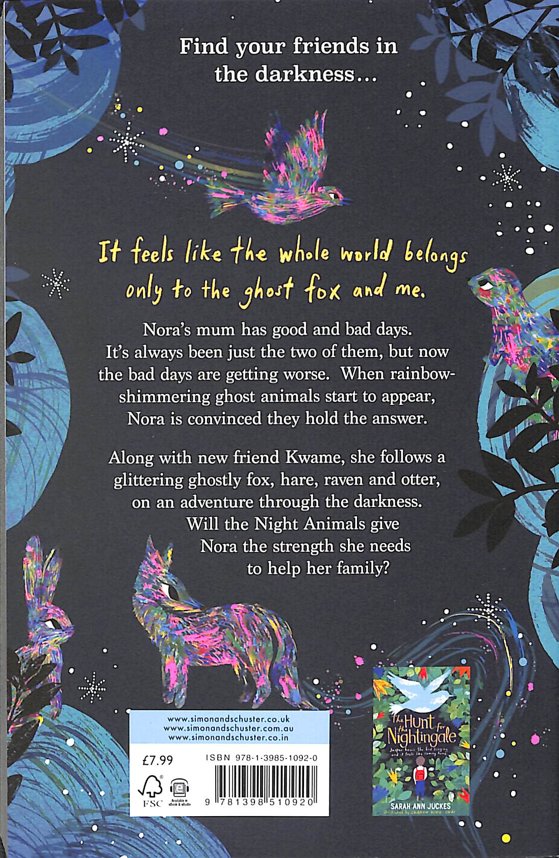 The Night Animals by Juckes, Sarah Ann (9781398510920) | Browns Books