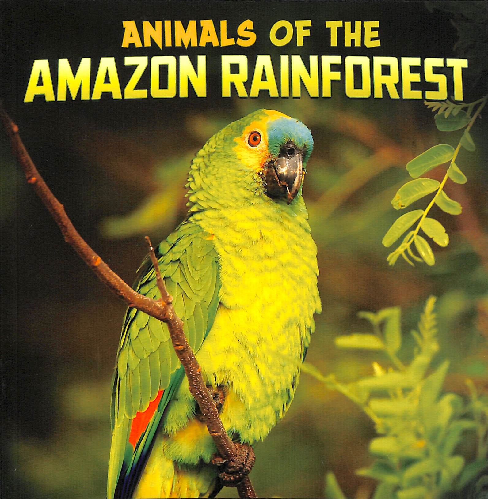 Animals of the Amazon Rainforest