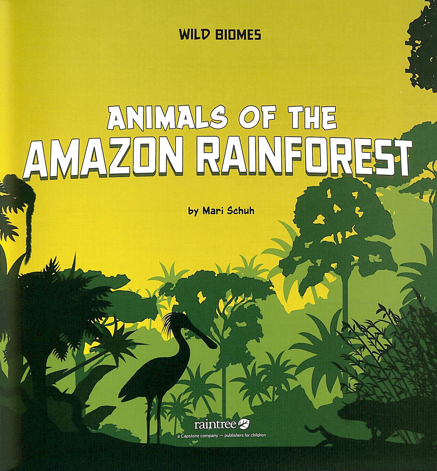 Animals of the Amazon Rainforest
