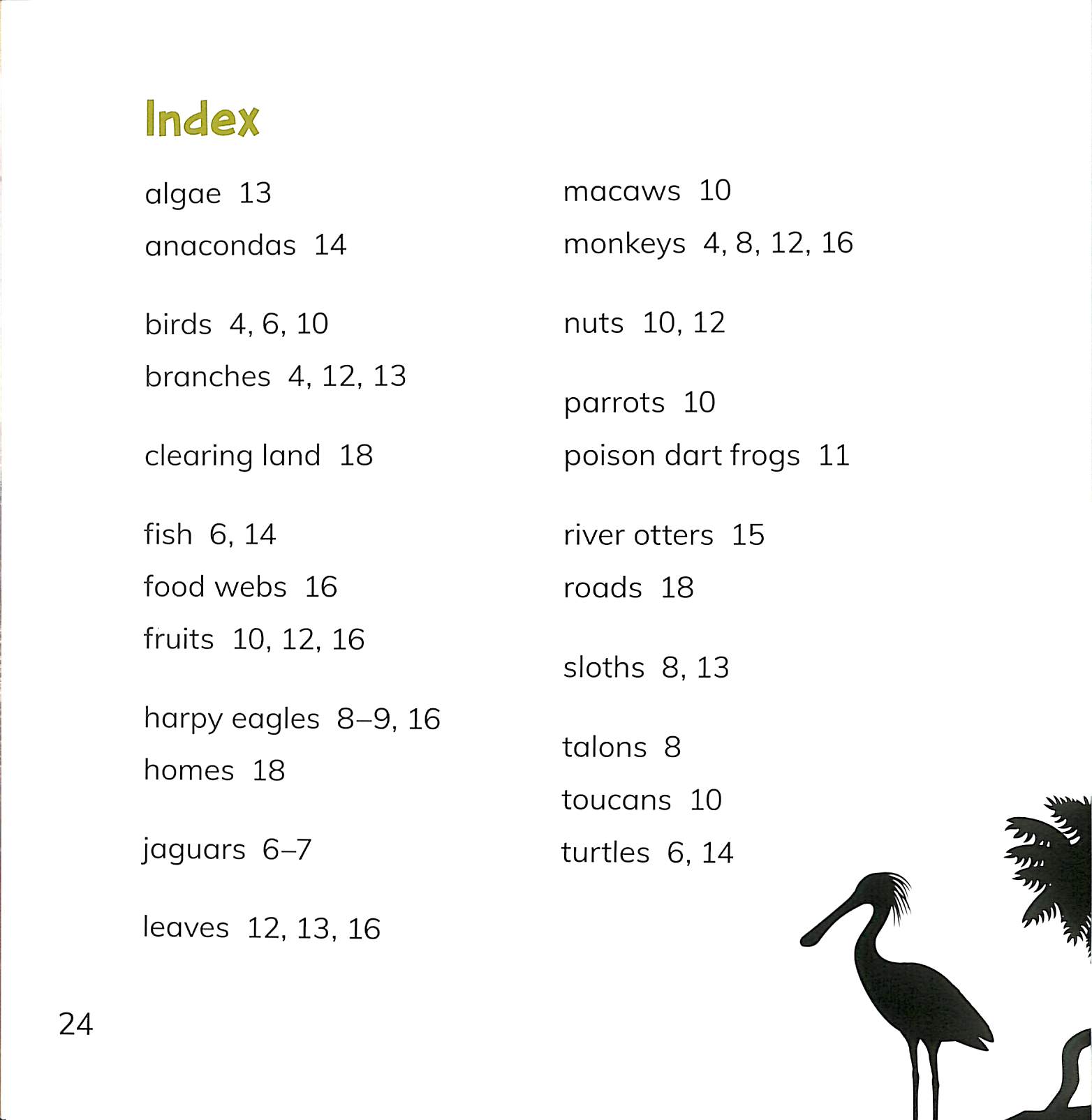 Animals of the Amazon Rainforest