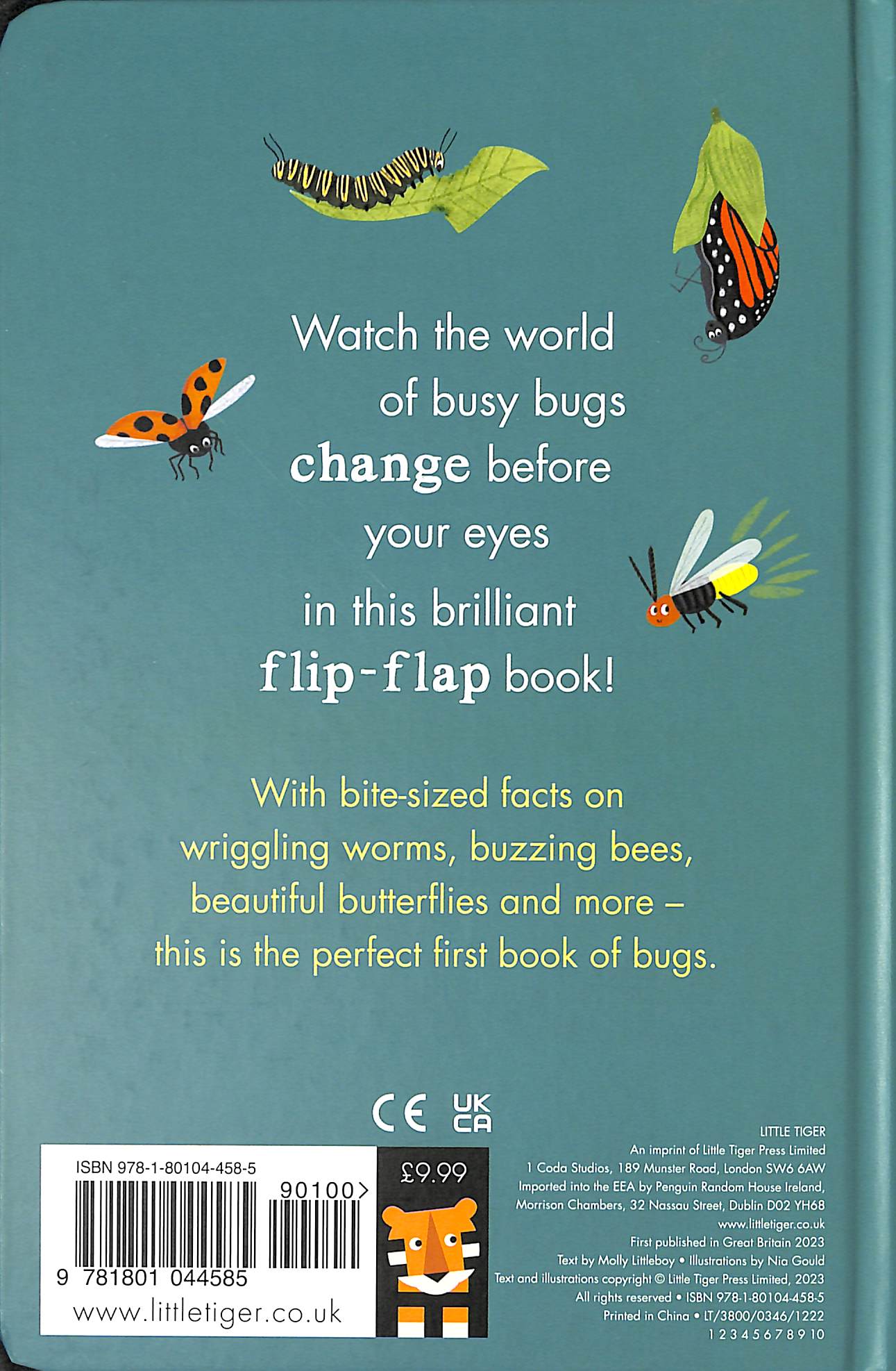 Bees & Beetles: A Flip-Flap Book of Bugs by Littleboy, Molly ...