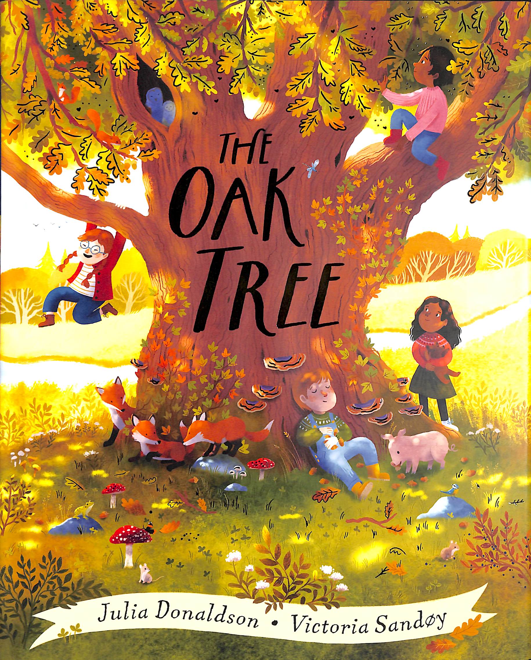 The Oak Tree by Donaldson, Julia (9780702324345) | Browns Books