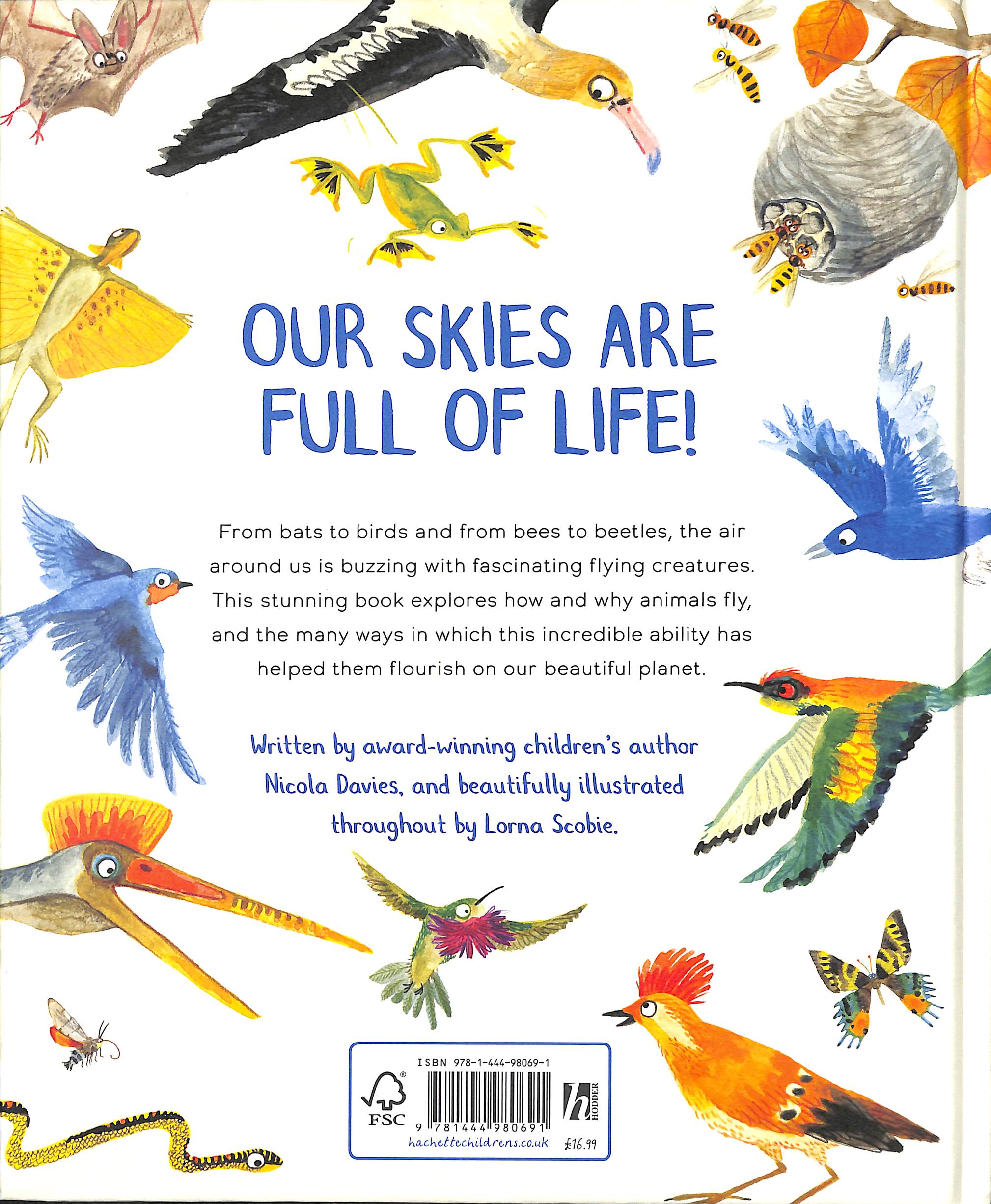 The Magic of Flight by Davies, Nicola (9781444980691) | Browns Books
