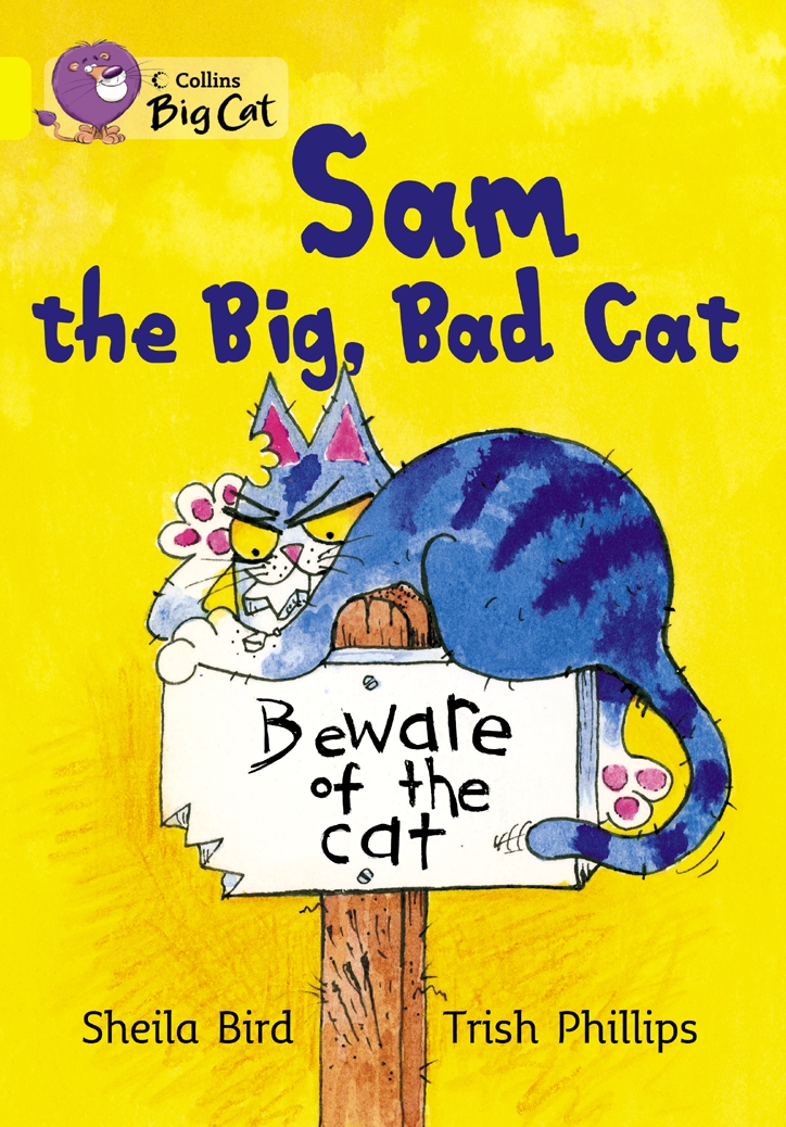 Sam and the big bad cat
