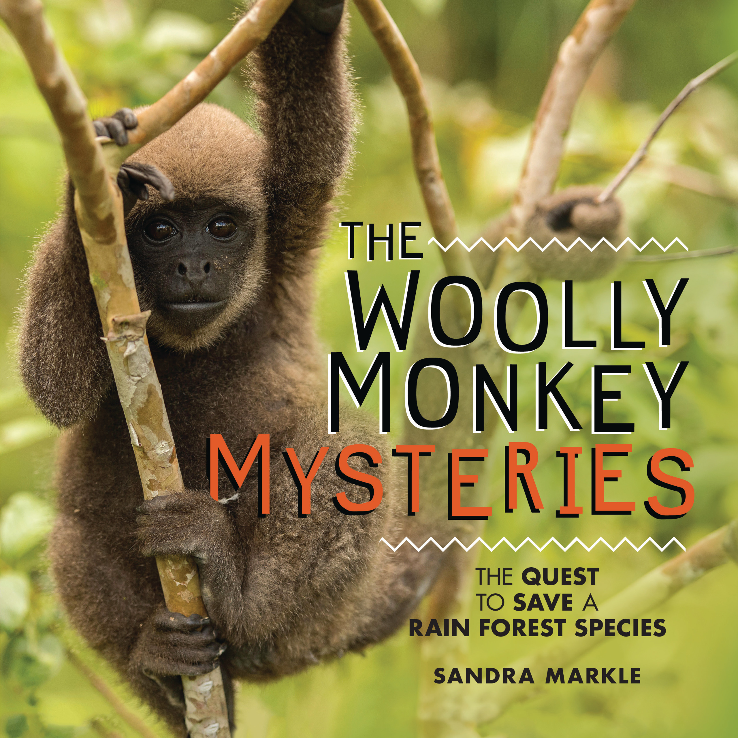Woolly Monkey Mysteries: The Quest to Save a Rain Forest Species by ...