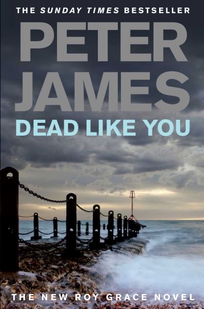The Roy Grace series: Dead like you by Peter James (Paperback) Amazing ...
