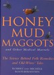 Honey, mud, maggots and other medical marvels : the science behind folk ...