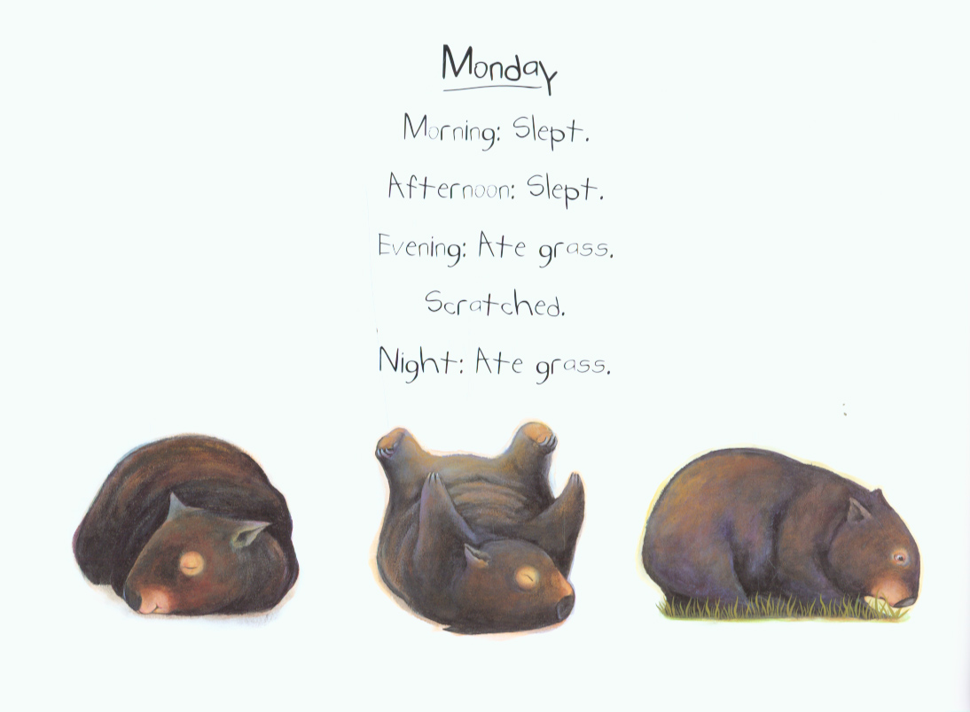 Diary of a wombat by French, Jackie (9780007212071) | BrownsBfS