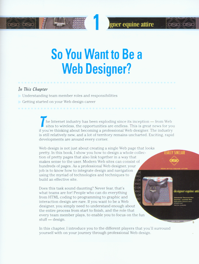 Web design for dummies by Lopuck, Lisa (9780471781172) | BrownsBfS