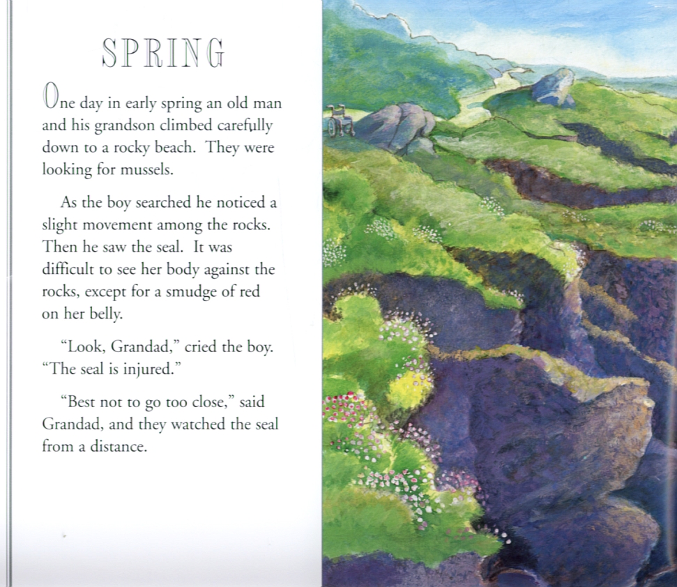 Seal surfer by Foreman, Michael (9781842705780) | BrownsBfS