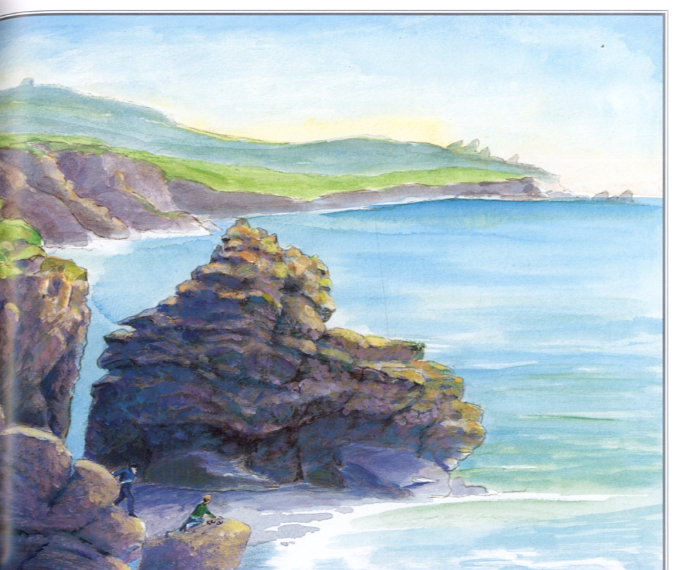 Seal surfer by Foreman, Michael (9781842705780) | BrownsBfS