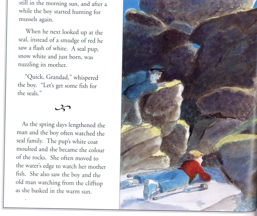 Seal surfer by Foreman, Michael (9781842705780) | BrownsBfS