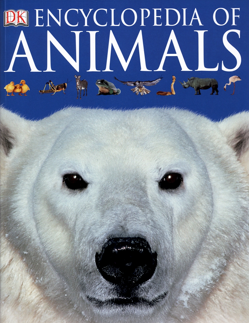 Encyclopedia of Animals by DK (9781405315609) | Browns Books