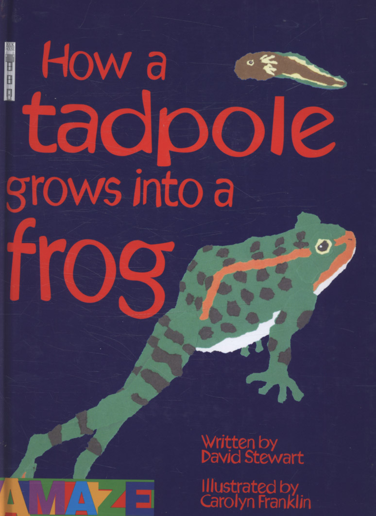 How This Tadpole Grows into This Frog by Stewart, David (9781905087211 ...