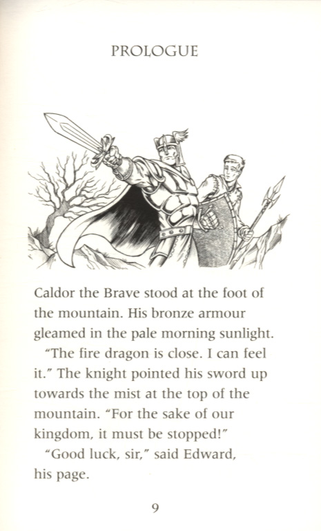 Beast Quest: Ferno the Fire Dragon by Blade, Adam (9781846164835 ...