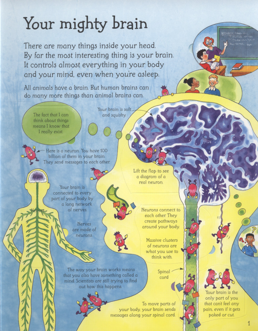 See Inside Your Head by Frith, Alex (9780746087299) | Browns Books