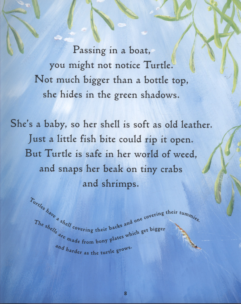 One Tiny Turtle Pbk With Cd by Davies, Nicola (9781406311976) | Browns ...