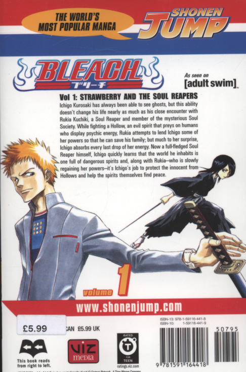 Bleach, Vol. 1 - Volume 1