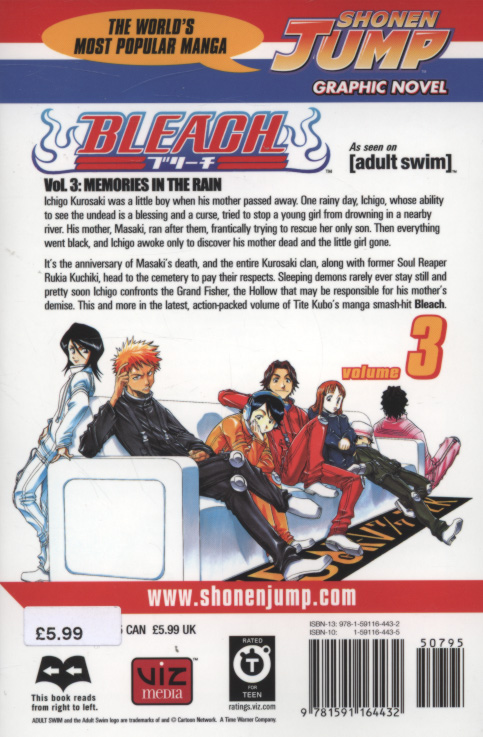 Bleach, Vol. 3