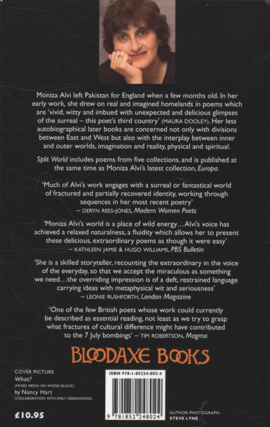 Split World by Alvi, Moniza (9781852248024) | Browns Books