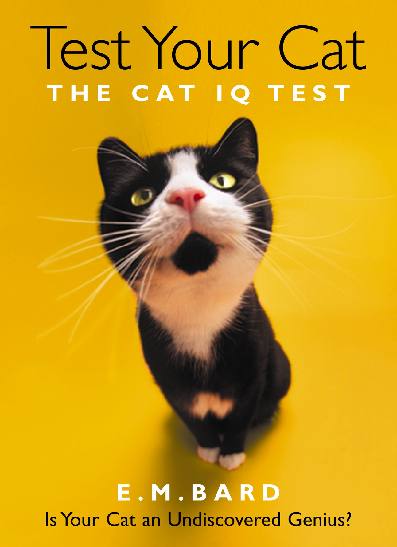 Test your cat : the cat IQ test