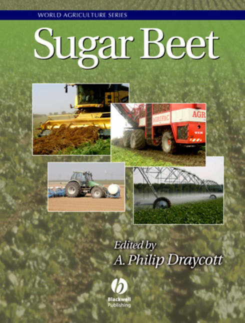 Sugar Beet by Draycott, A. Philip (Formerly of Broom's Barn Research ...