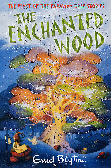 The enchanted wood by Blyton, Enid (9781405230278) | BrownsBfS