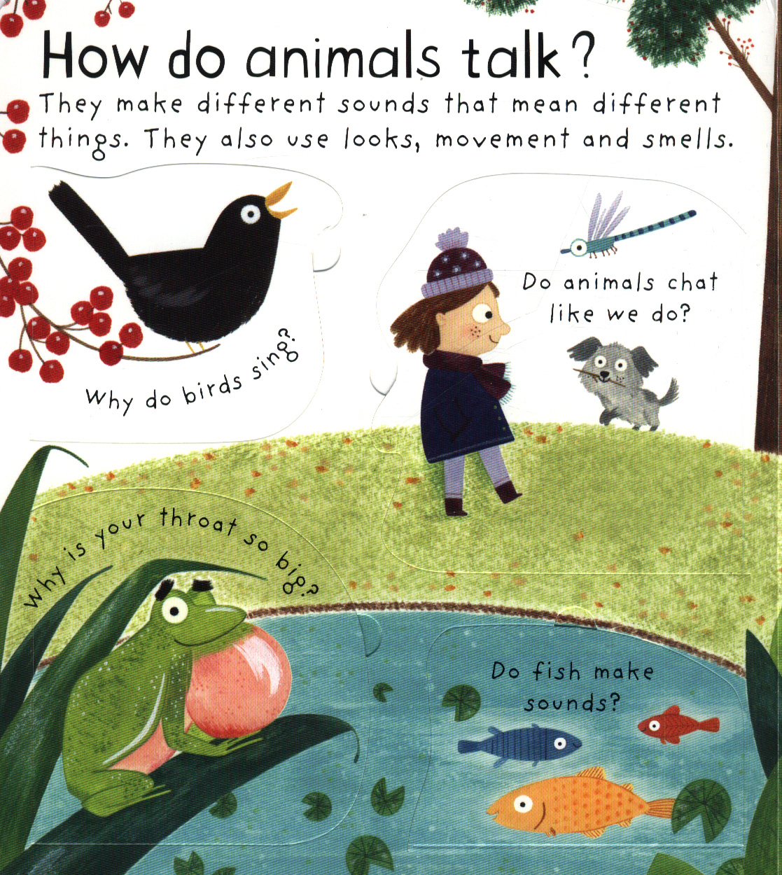 First Questions and Answers: How Do Animals Talk? by Daynes, Katie ...