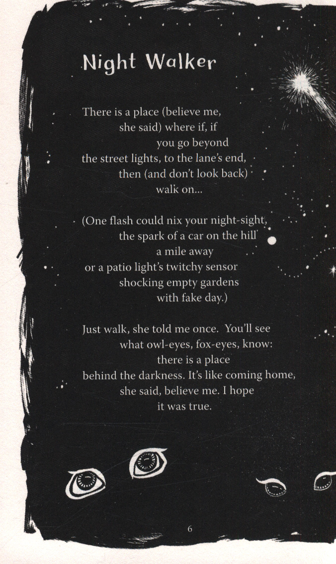 Dark Sky Park by Gross, Philip (9781910959886) | Browns Books