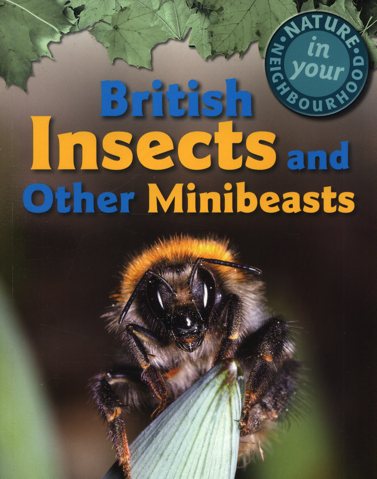 British insects and other minibeasts by Collinson, Clare (9781445136332 ...