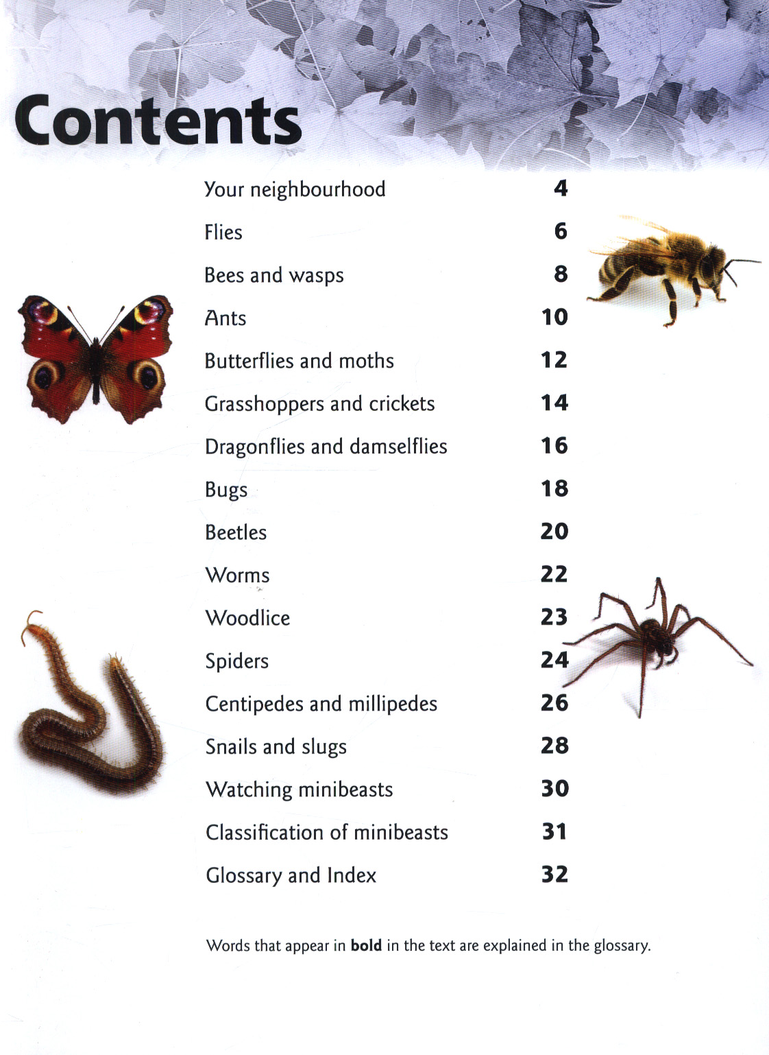British insects and other minibeasts by Collinson, Clare (9781445136332 ...