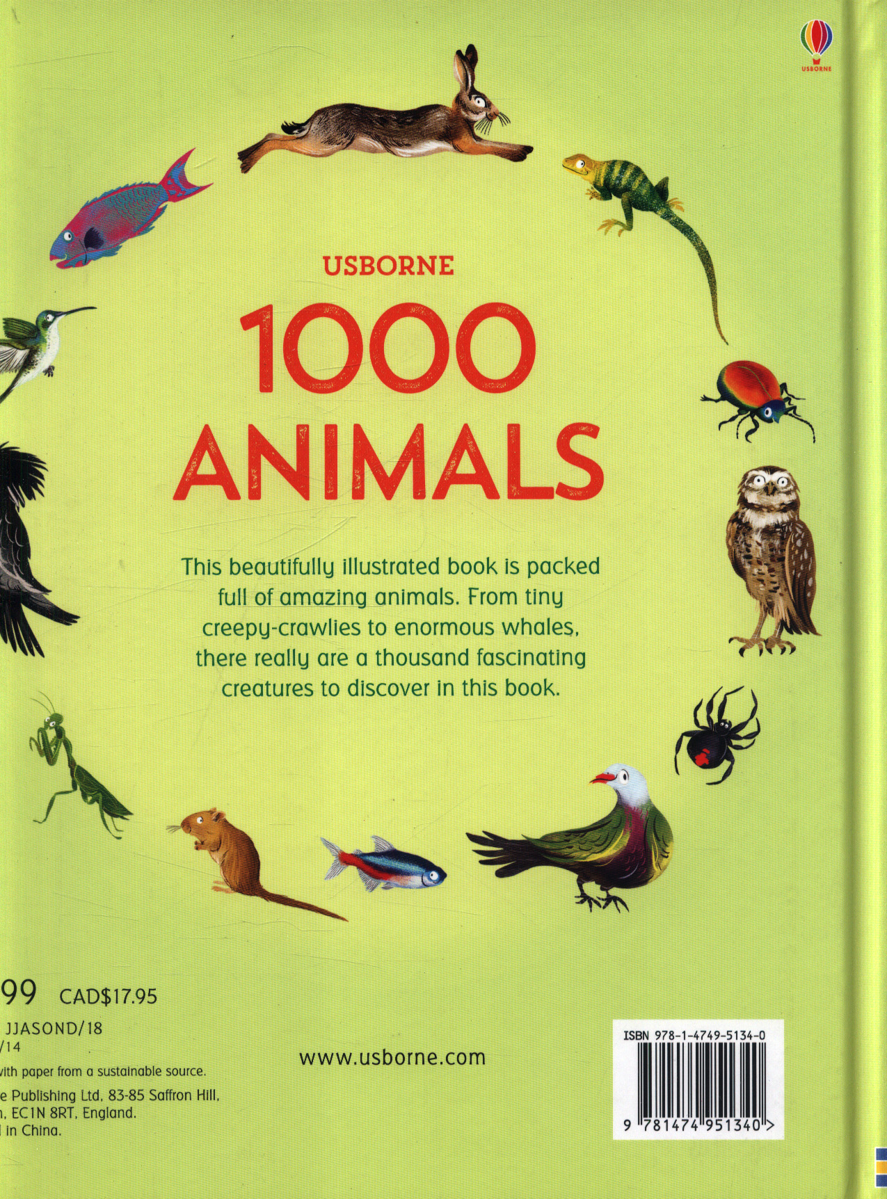 1000 Animals by Greenwell, Jessica (9781474951340) | Browns Books