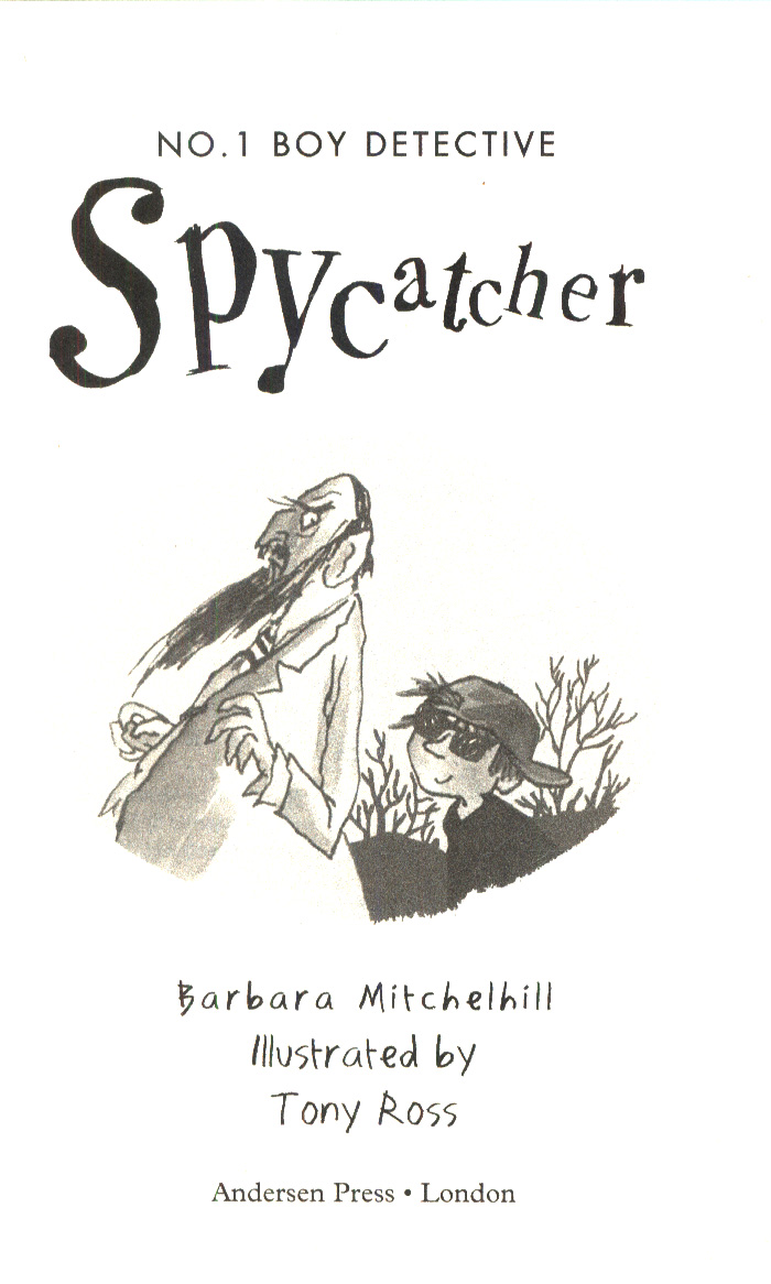 Spycatcher by Mitchelhill, Barbara (9781783446650) | BrownsBfS