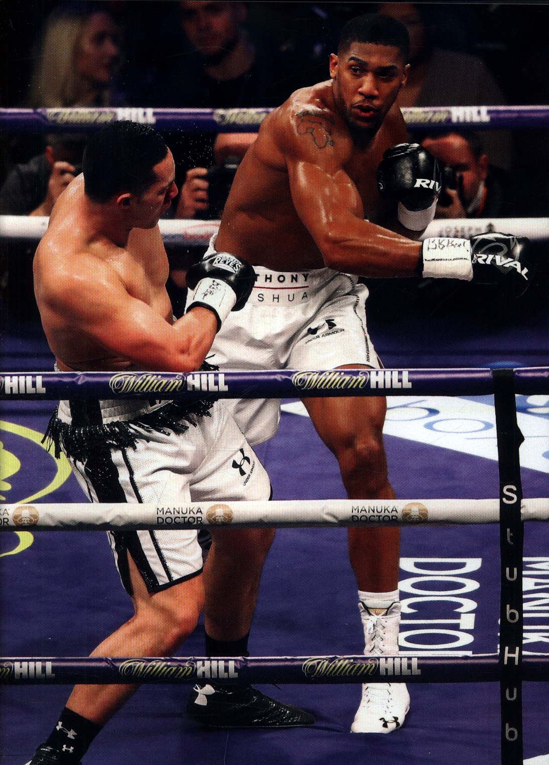 Anthony Joshua : Portrait of a Boxing Hero