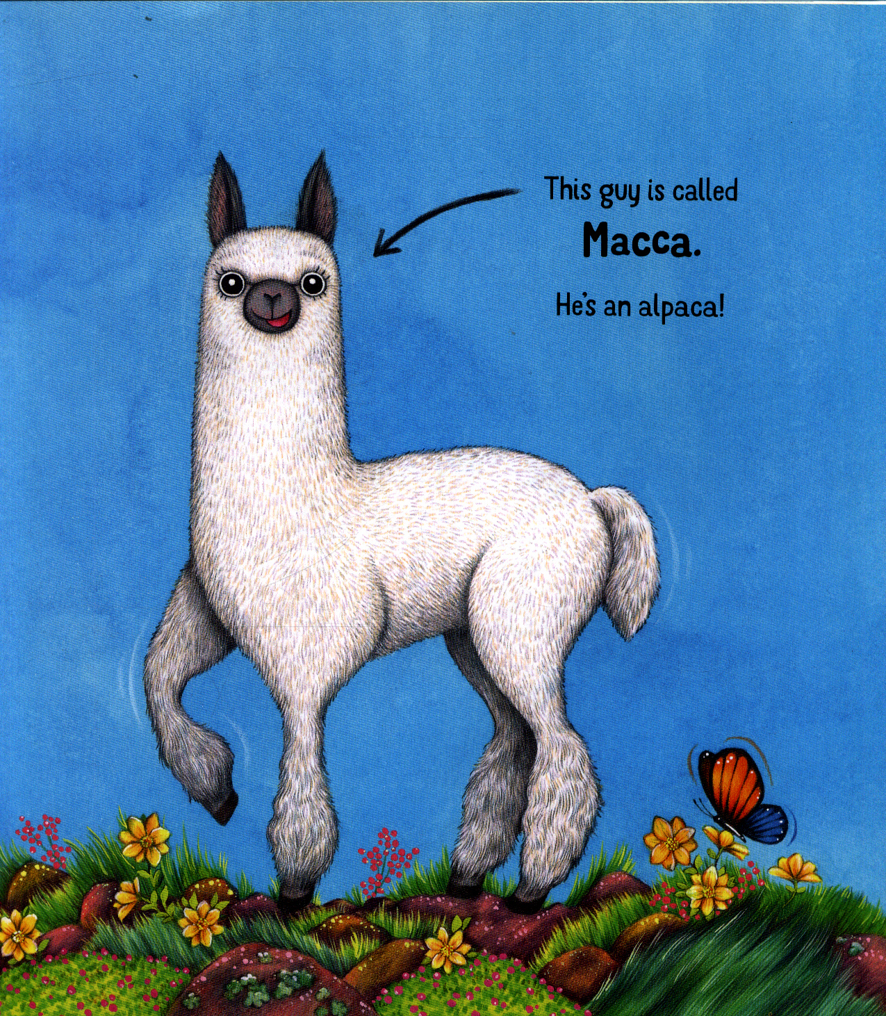 Macca the alpaca by Cosgrove, Matt (9781407193618) | BrownsBfS