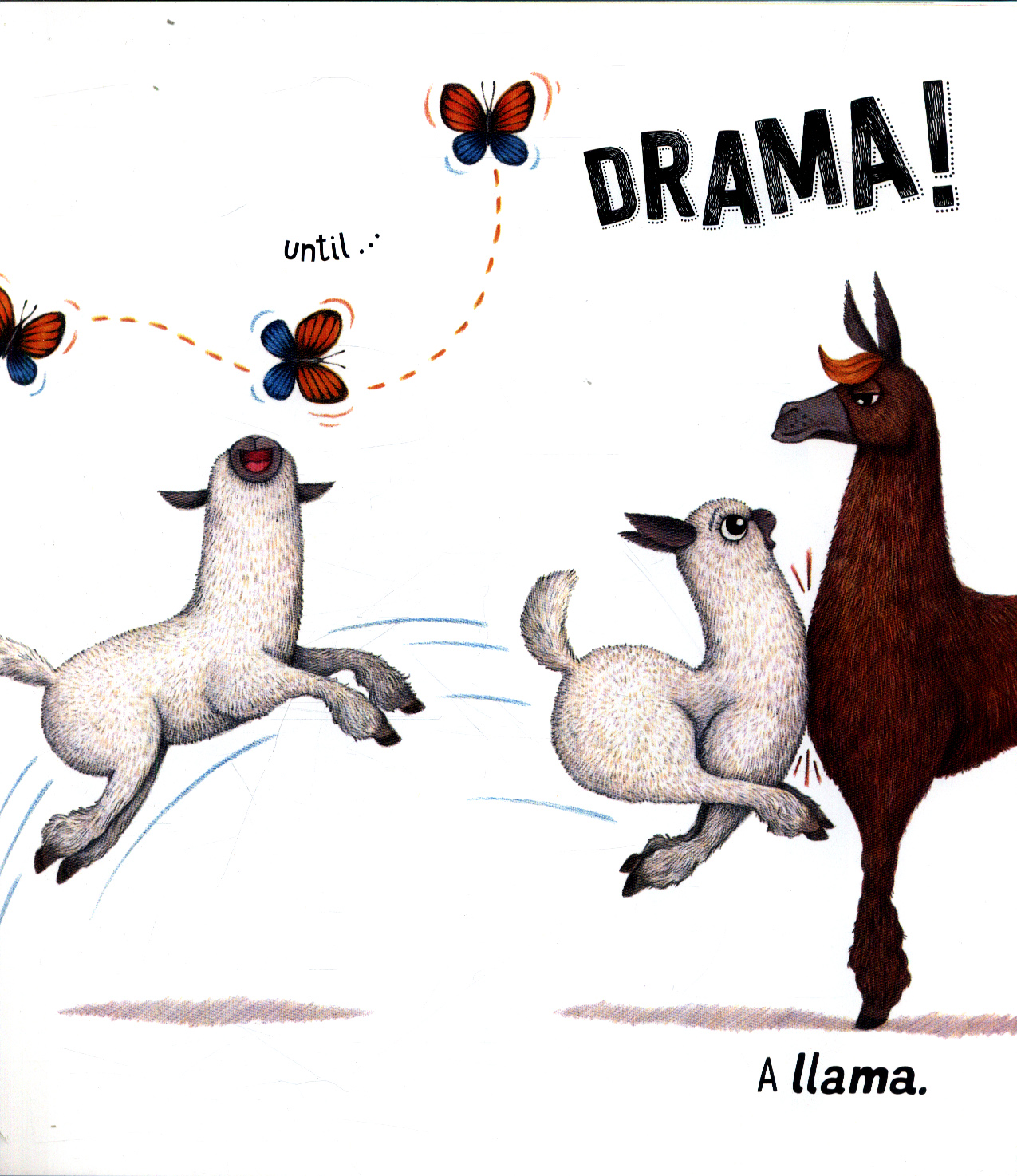 Macca the alpaca by Cosgrove, Matt (9781407193618) | BrownsBfS