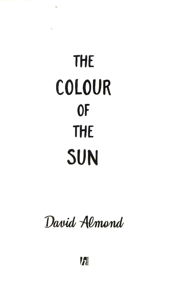 The colour of the sun by Almond, David (9781444941135) | BrownsBfS