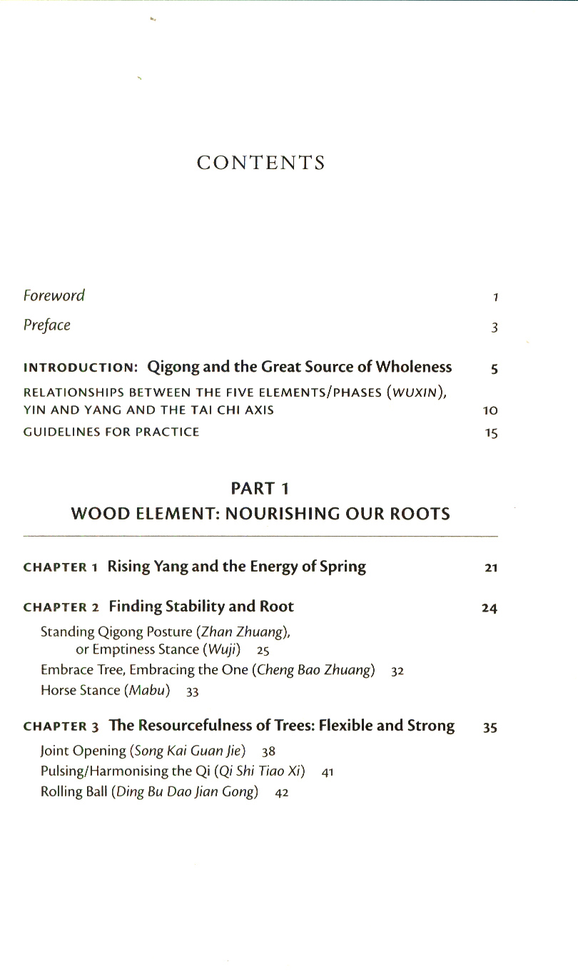 Qigong and the Tai Chi Axis by Kuo-Deemer, Mimi (9781409183952 ...
