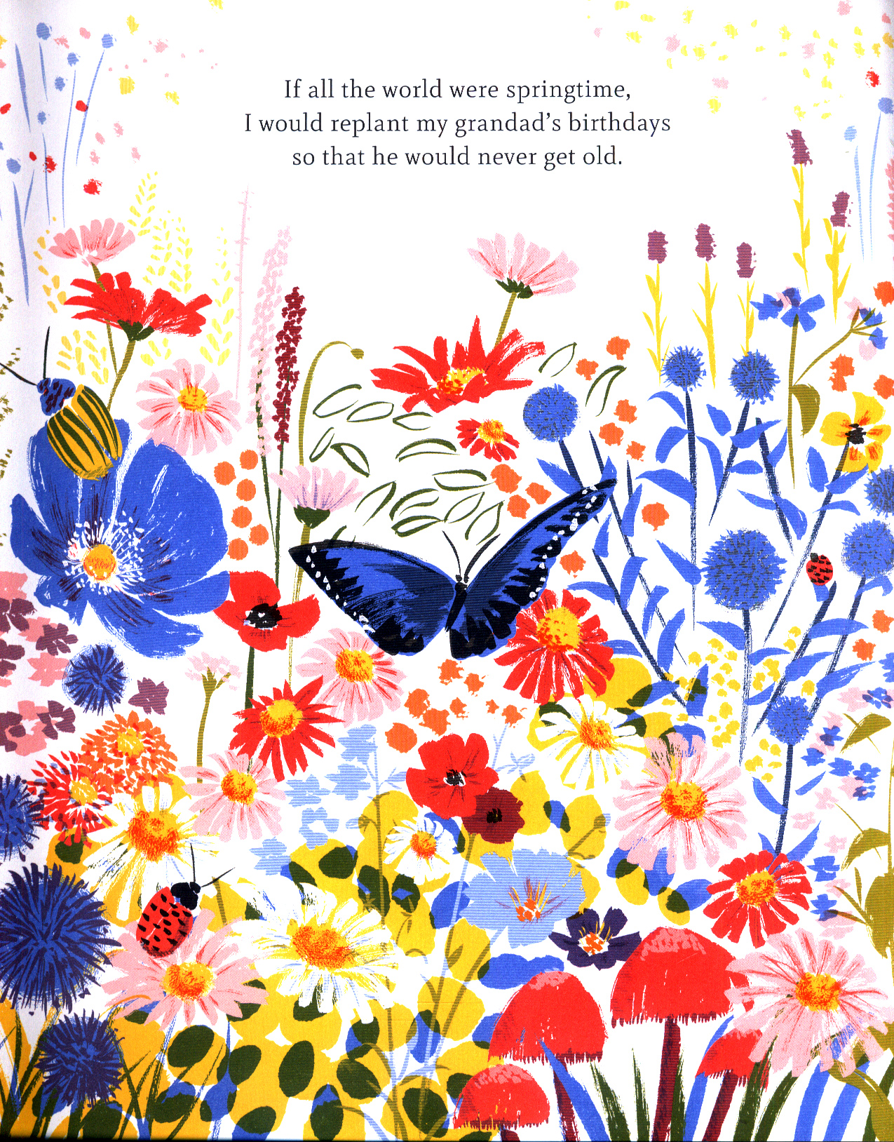 If all the world were... by Coelho, Joseph (9781786036513) | BrownsBfS