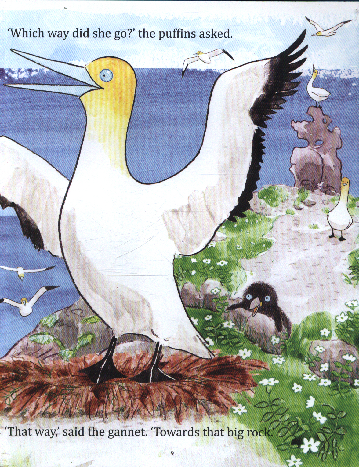 Where are you, Puffling? : a Skellig adventure by Daly, Gerry ...