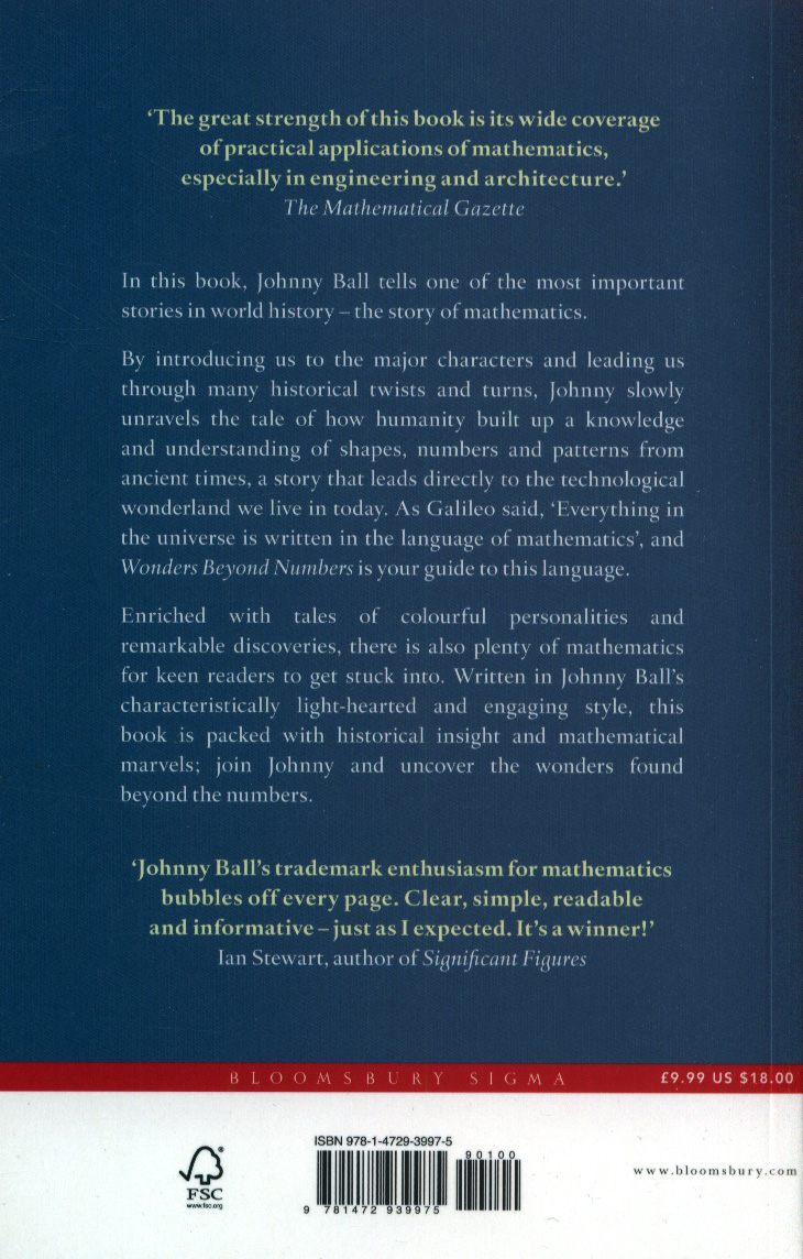 Wonders beyond numbers : a brief history of all things mathematical