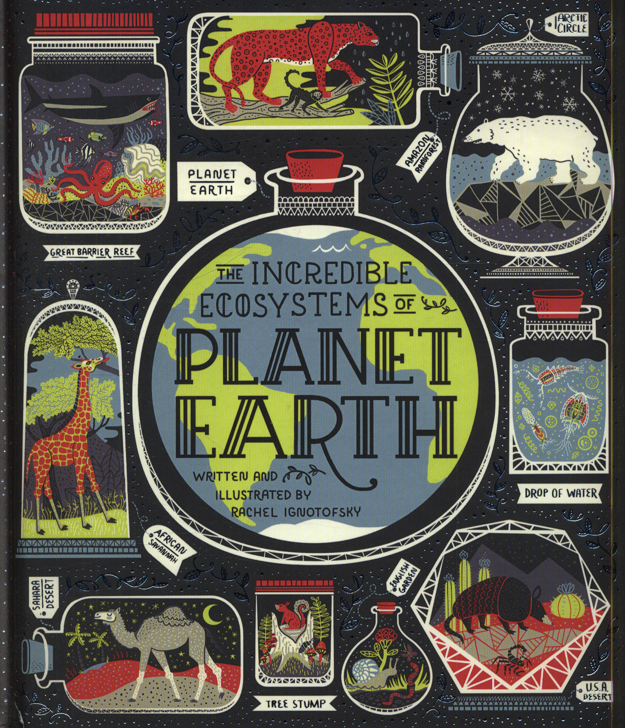 The Incredible Ecosystems of Planet Earth by Ignotofsky, Rachel ...