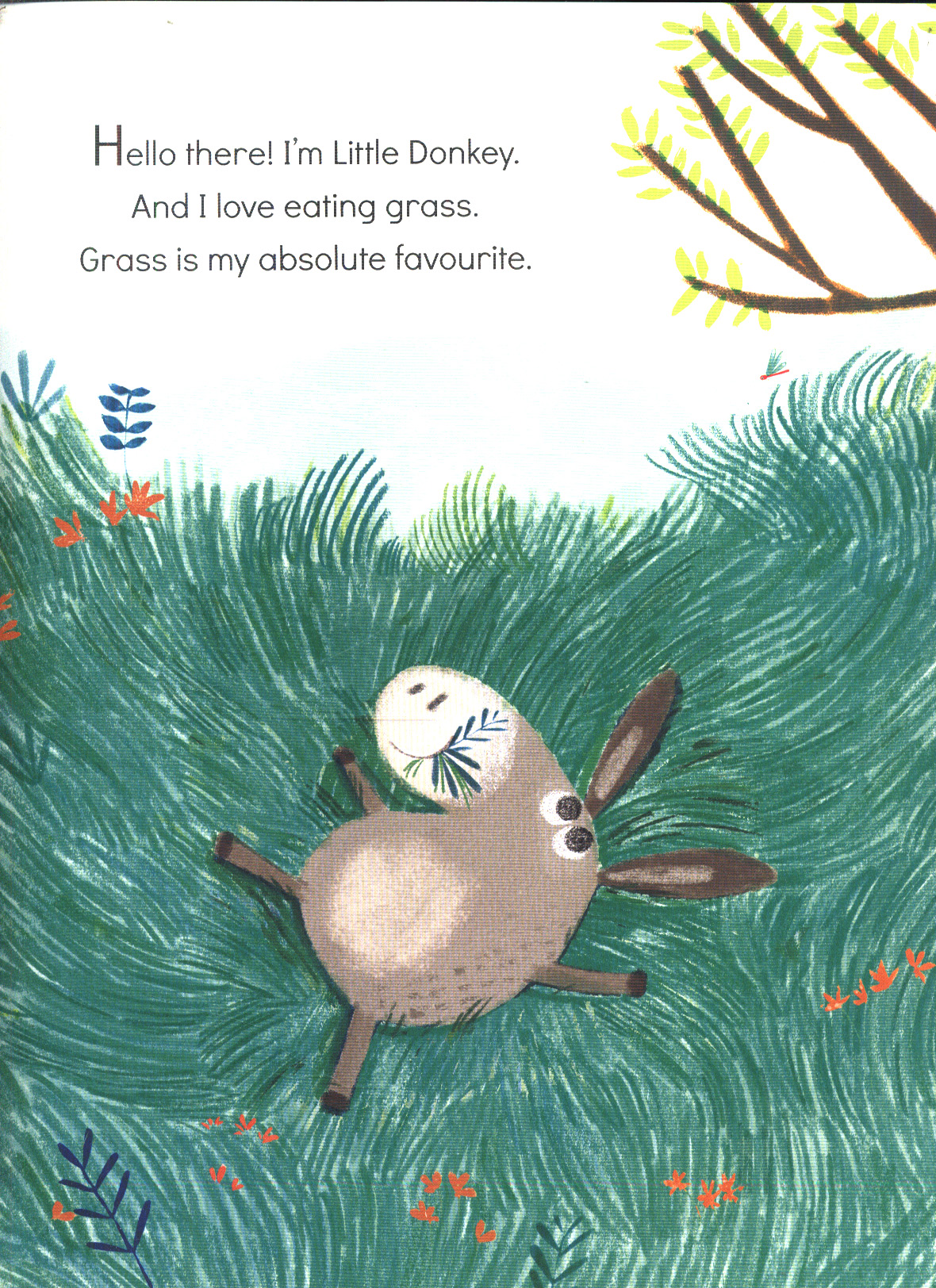 Little green donkey by Allepuz, Anuska (9781406384666) | BrownsBfS