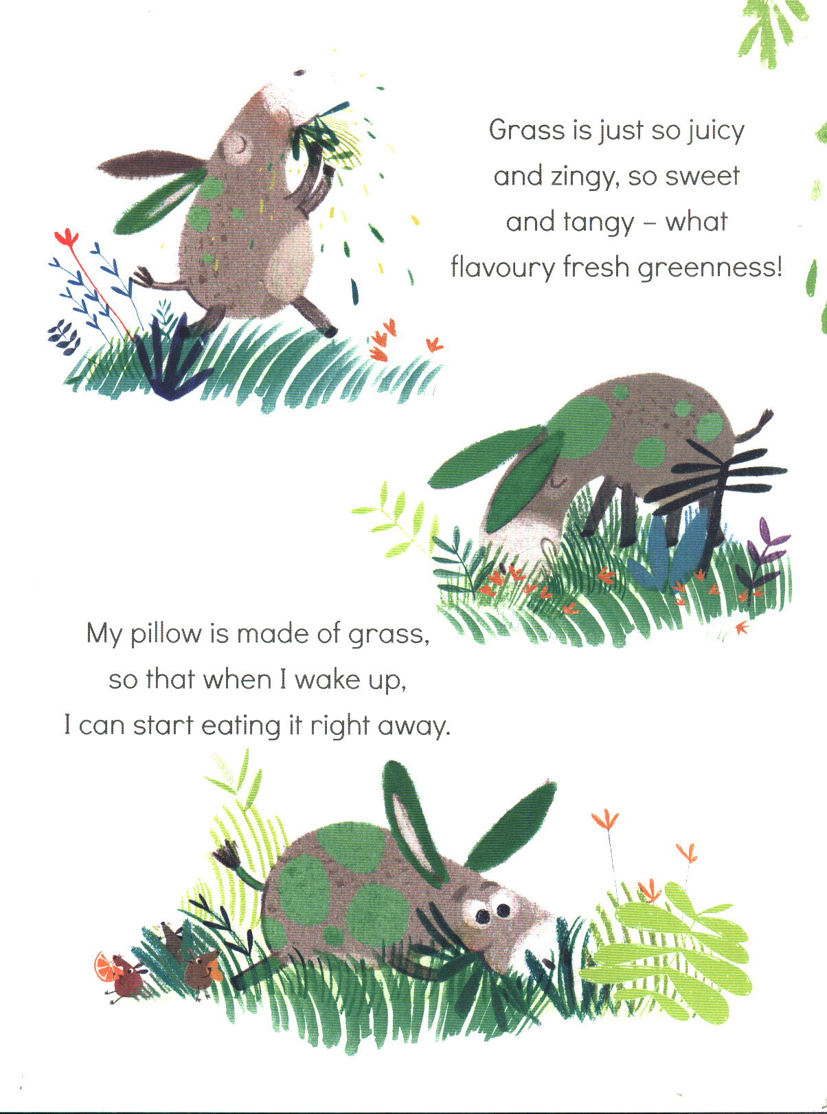 Little green donkey by Allepuz, Anuska (9781406384666) | BrownsBfS